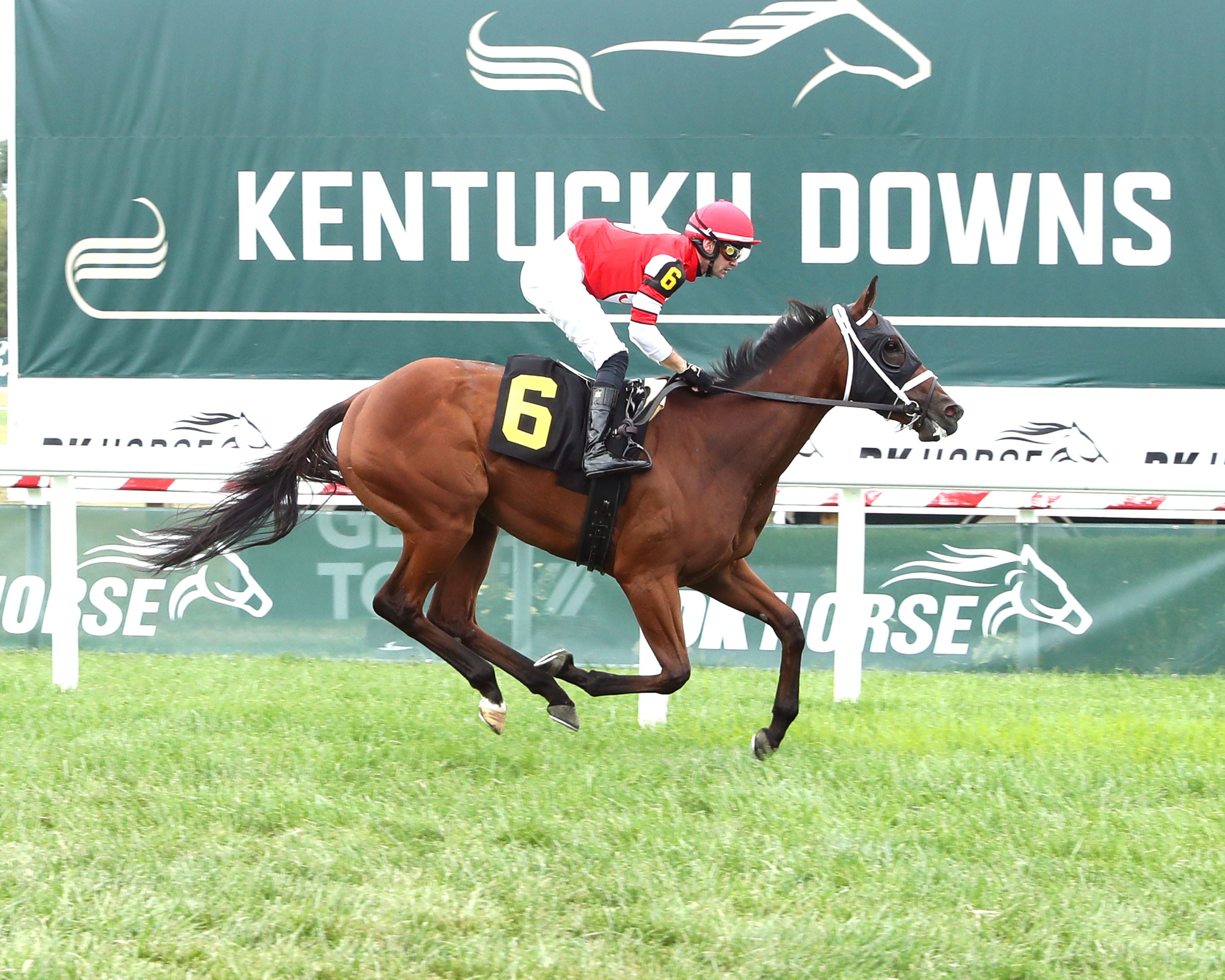 Breeders' Cup Juvenile Fillies Turf: Waiting game begins for Destino d'Oro